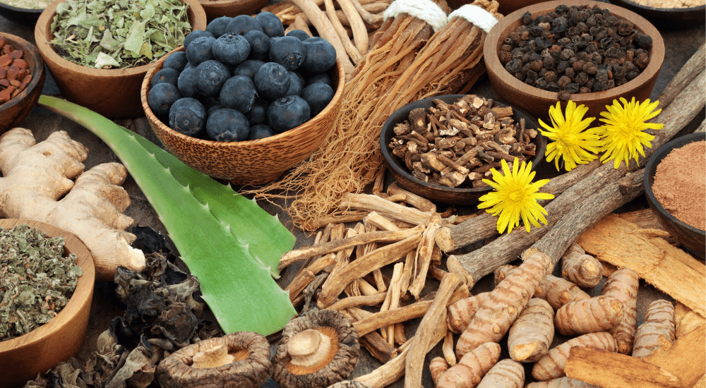 ¿Que son los adaptógenos? Guía completa 2025 SupleReviews